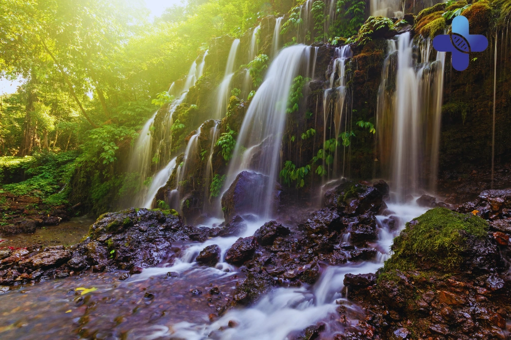 IV Drip Therapy in Bali – Fast Recovery After Chikungunya at Life ...